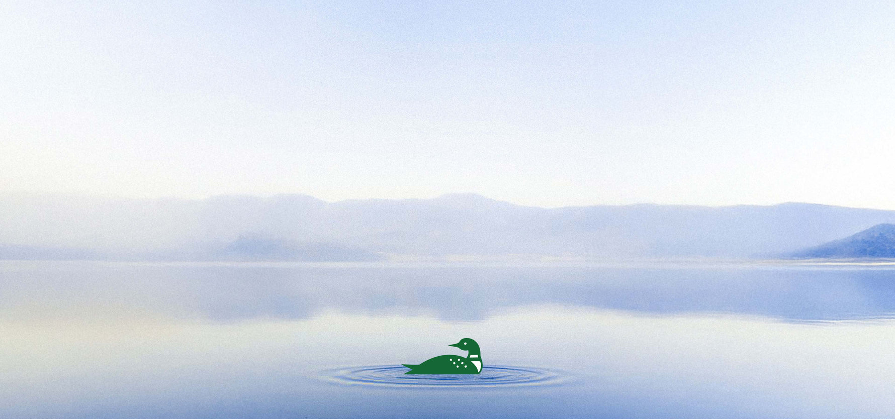 Spring Sourced, Perfectly Pure Water | Loonen