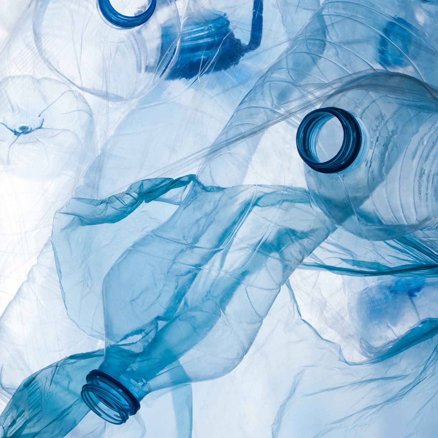 About Loonen | Our Story and the Team Behind the Water